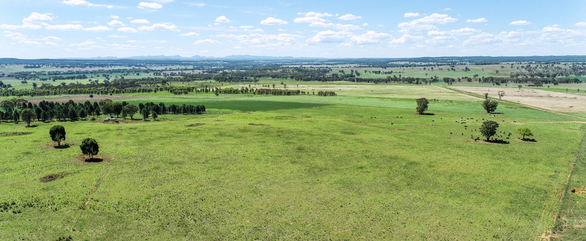 3408 Warrumbungle Way, BINNAWAY NSW 2395 – Peter Milling & Company