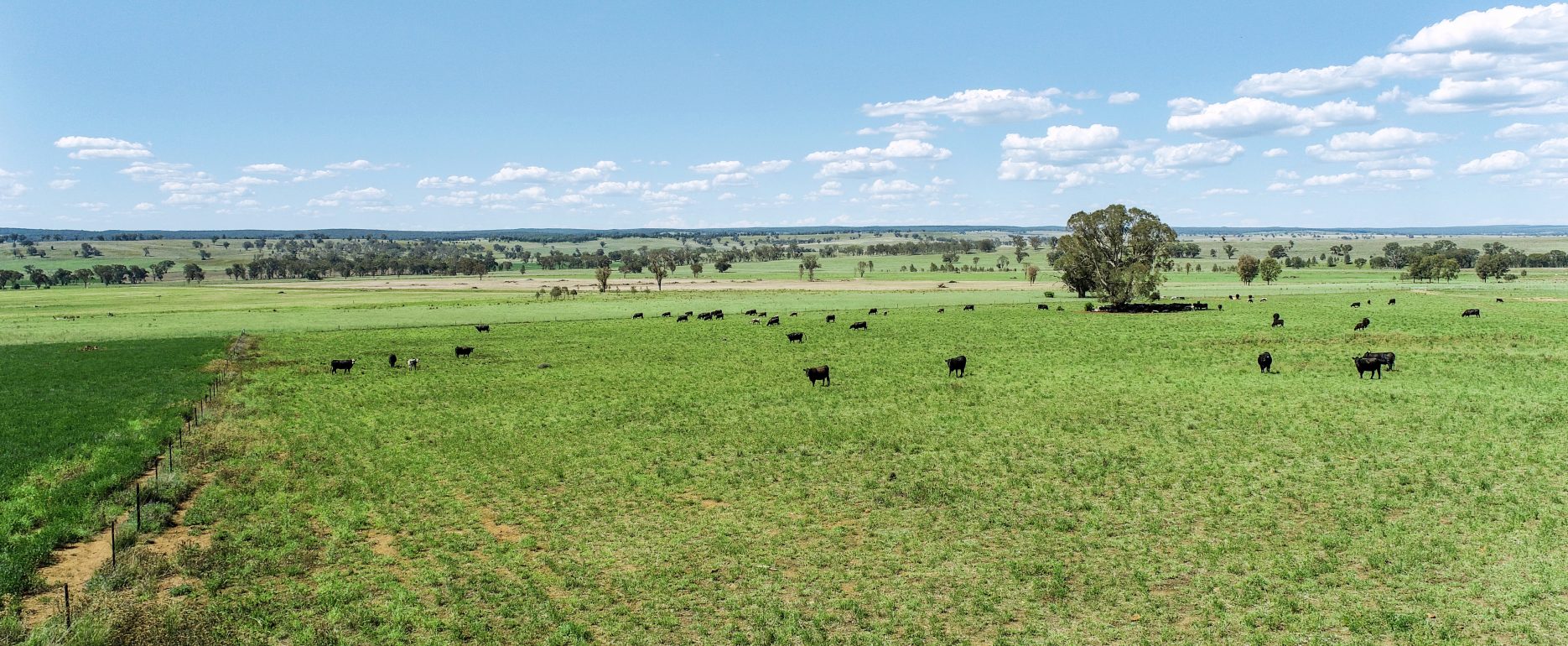 3408 Warrumbungle Way, BINNAWAY NSW 2395 – Peter Milling & Company