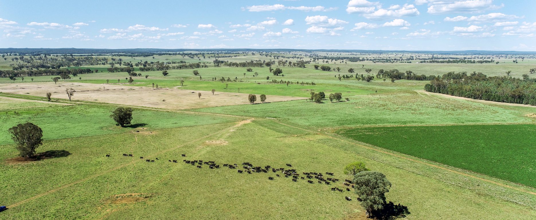 3408 Warrumbungle Way, BINNAWAY NSW 2395 – Peter Milling & Company