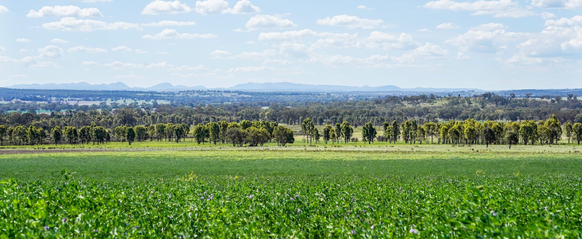 3408 Warrumbungle Way, BINNAWAY NSW 2395 – Peter Milling & Company