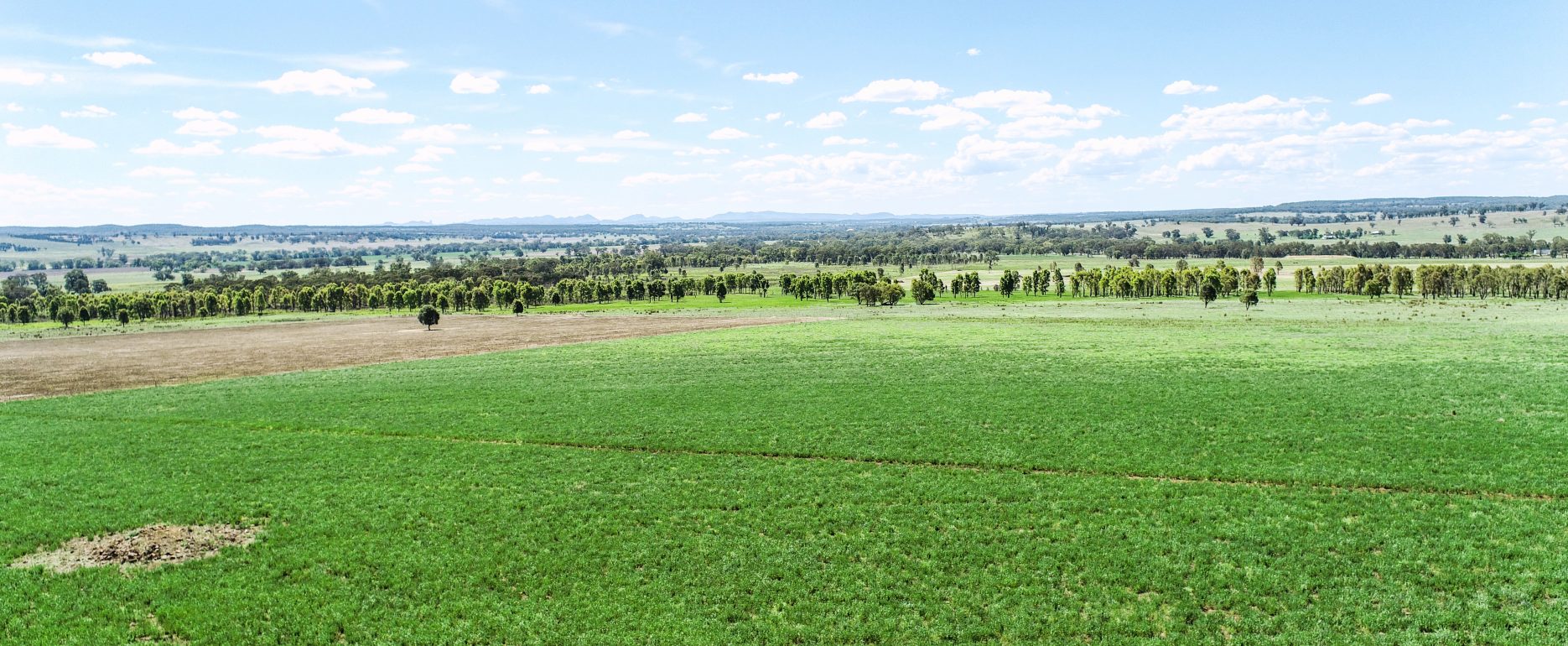 3408 Warrumbungle Way, BINNAWAY NSW 2395 – Peter Milling & Company