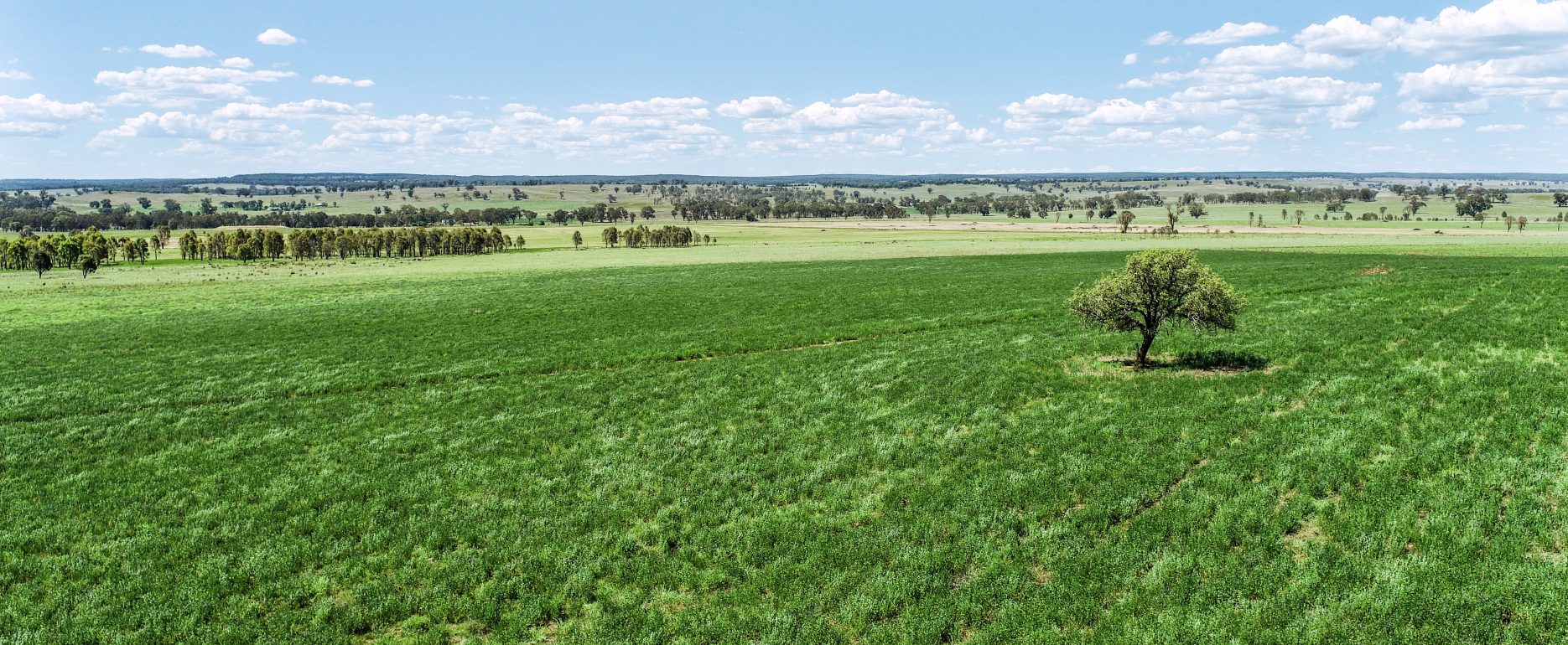 3408 Warrumbungle Way, BINNAWAY NSW 2395 – Peter Milling & Company